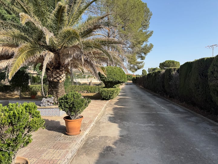 Hi There, It’s Close To Town - Villena