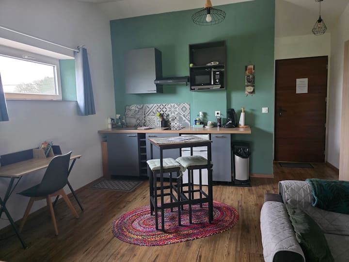 Appart 31m² Cosy+parking à 5' Parc Expo - Maine-et-Loire