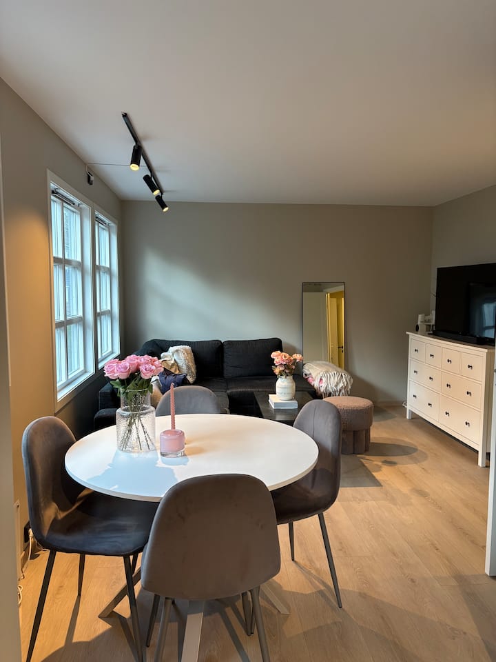 Nyoppusset Sentral Leilighet - Stavanger