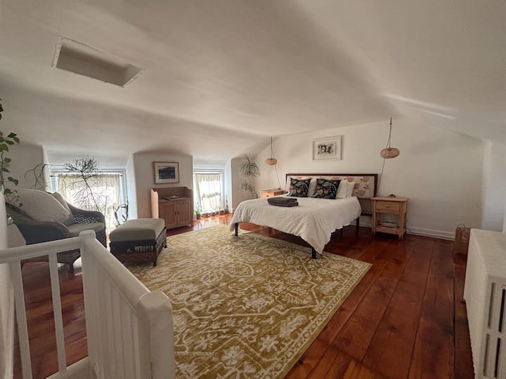 Manayunk Artist Home (Entire Home) - Conshohocken, PA