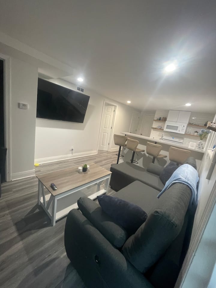 Pilsen Apartment - Chicago