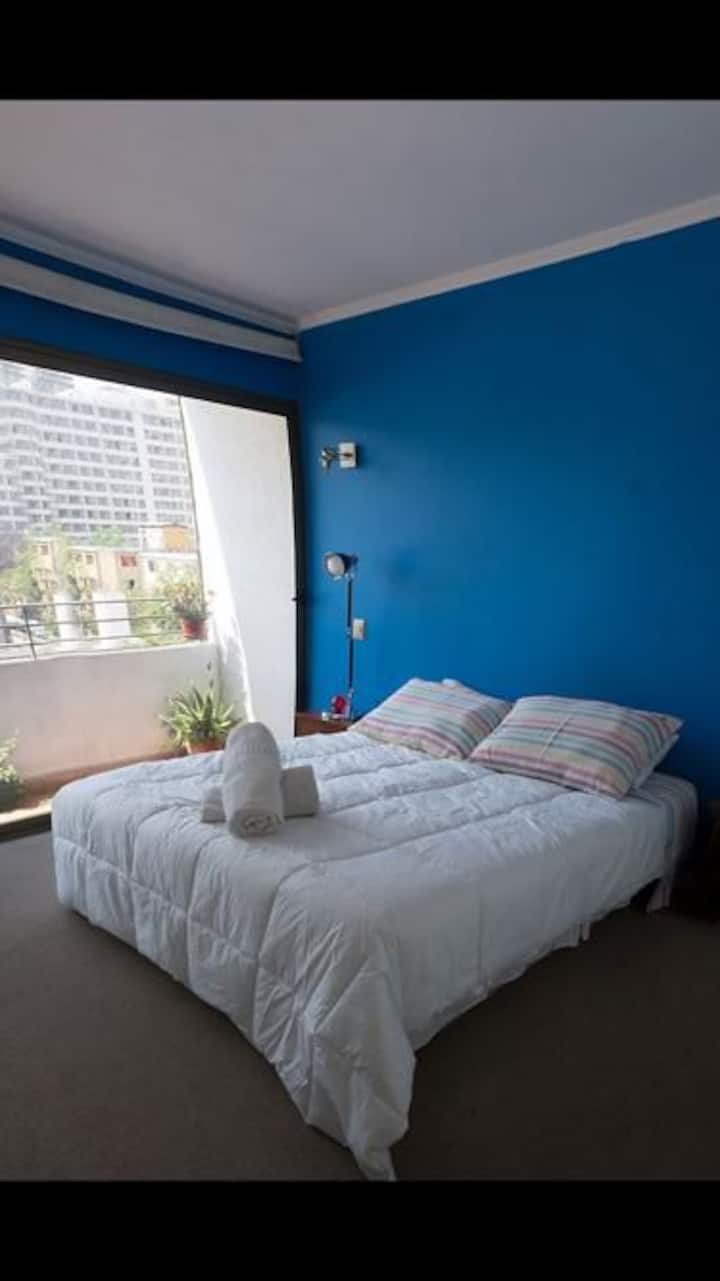 Céntrico Y Cómodo Depto. - Ñuñoa