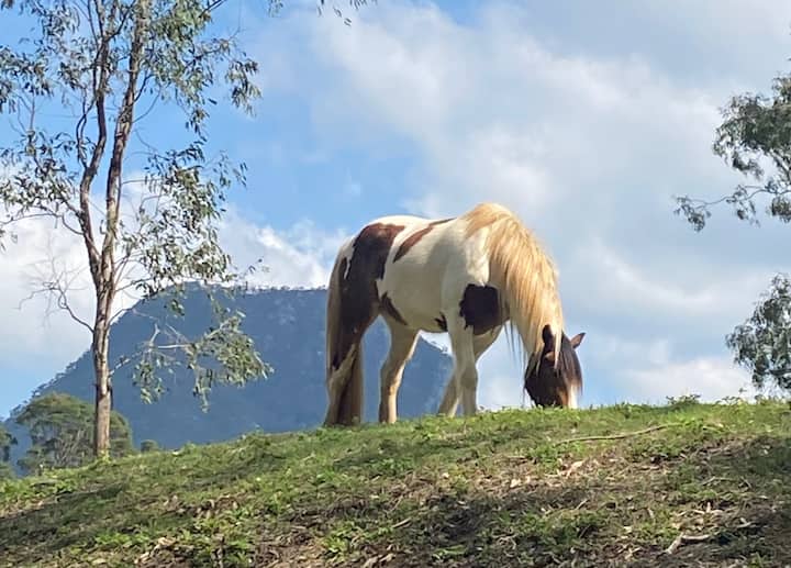 Wind Spirit Lodge, Pomona - Pomona
