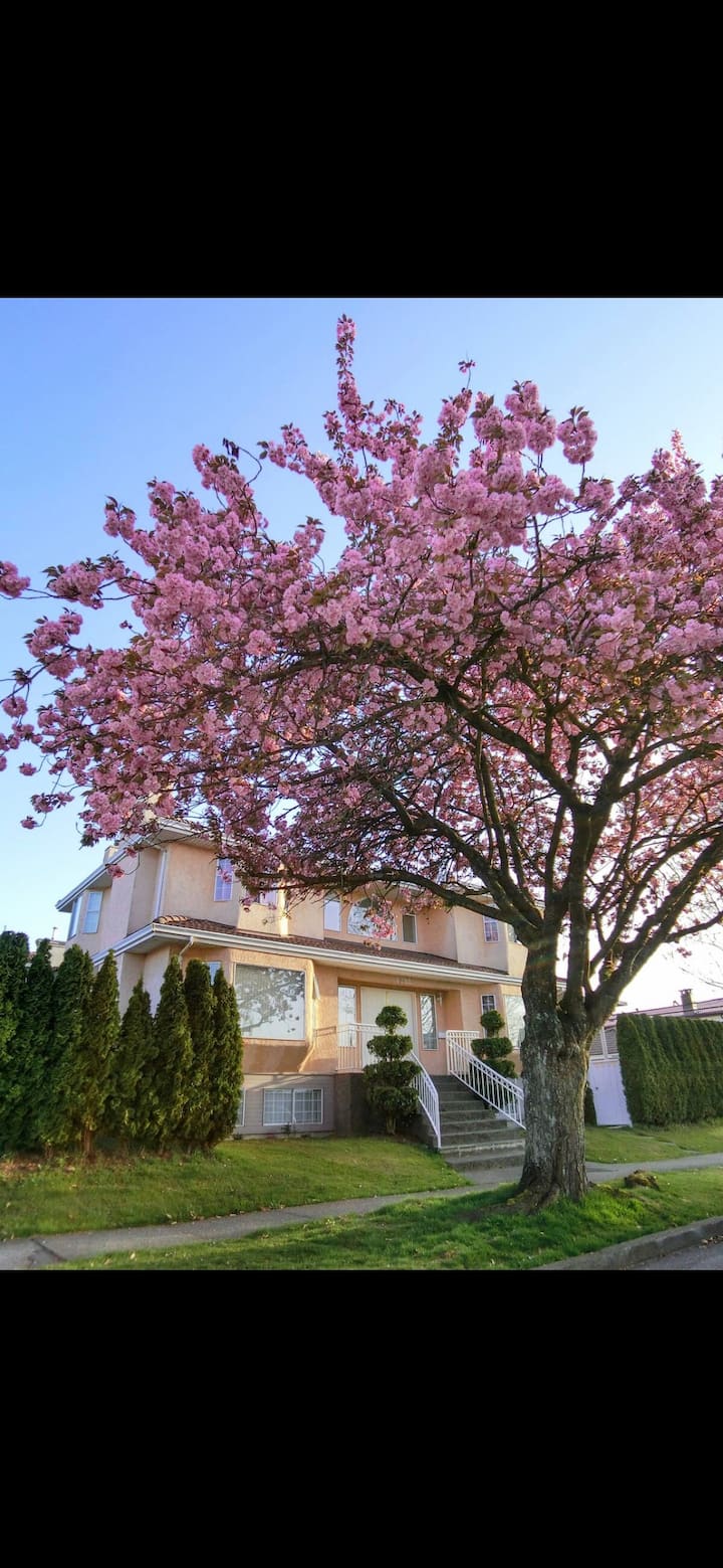 Room In Renfrew-collingwood - Vancouver