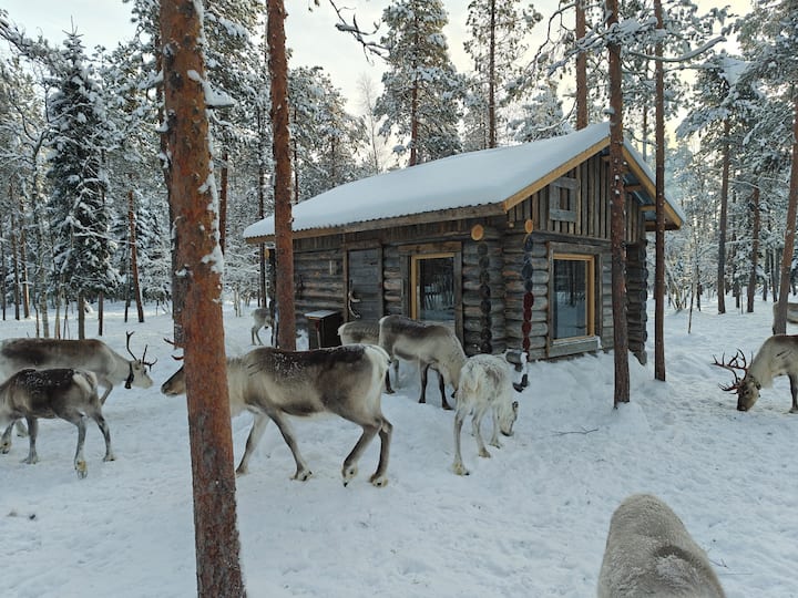 Kentura Cabin | Unique | Arctic Experience - Rovaniemi