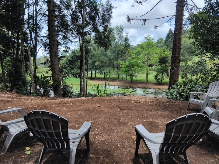 Wallaby - Private 2 Bedroom, 1 Bathroom Cottage - Maleny