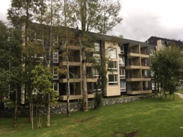 Lindo Departamento Full Equipado - Pucon