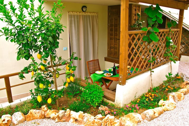 Casa Dei Platani - Rosignano Marittimo