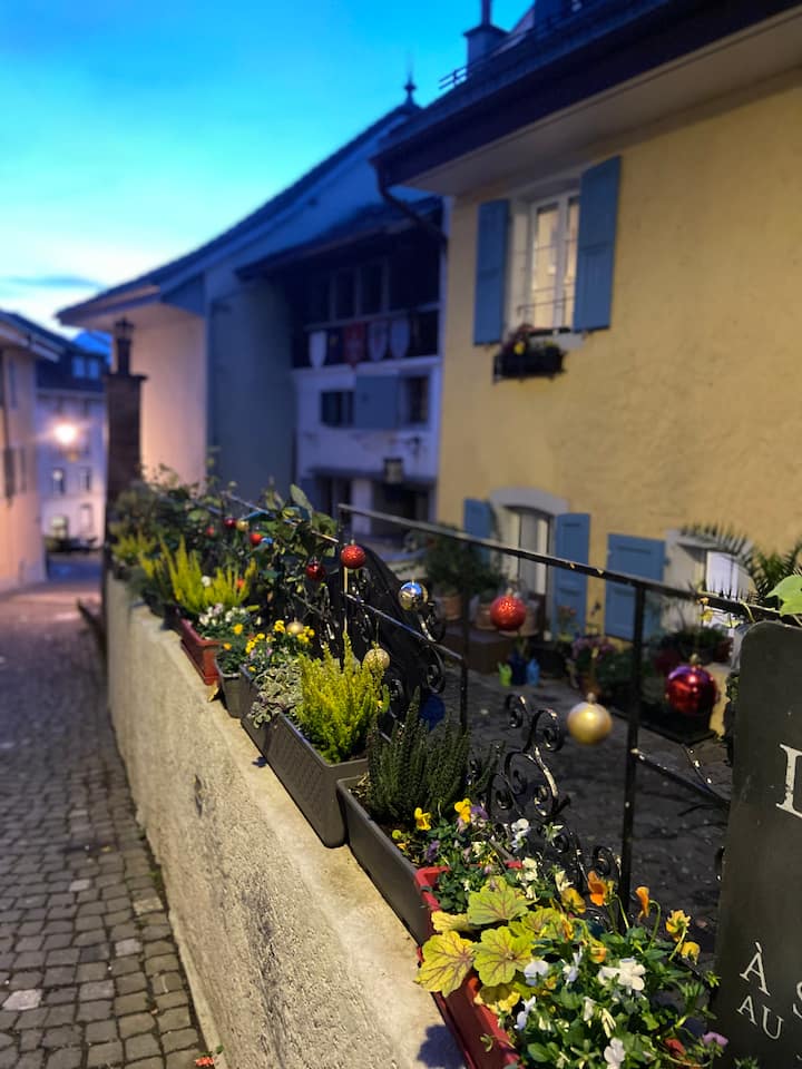 Montreux Mon Amour - Appart Dans La Vieille Ville - Vevey