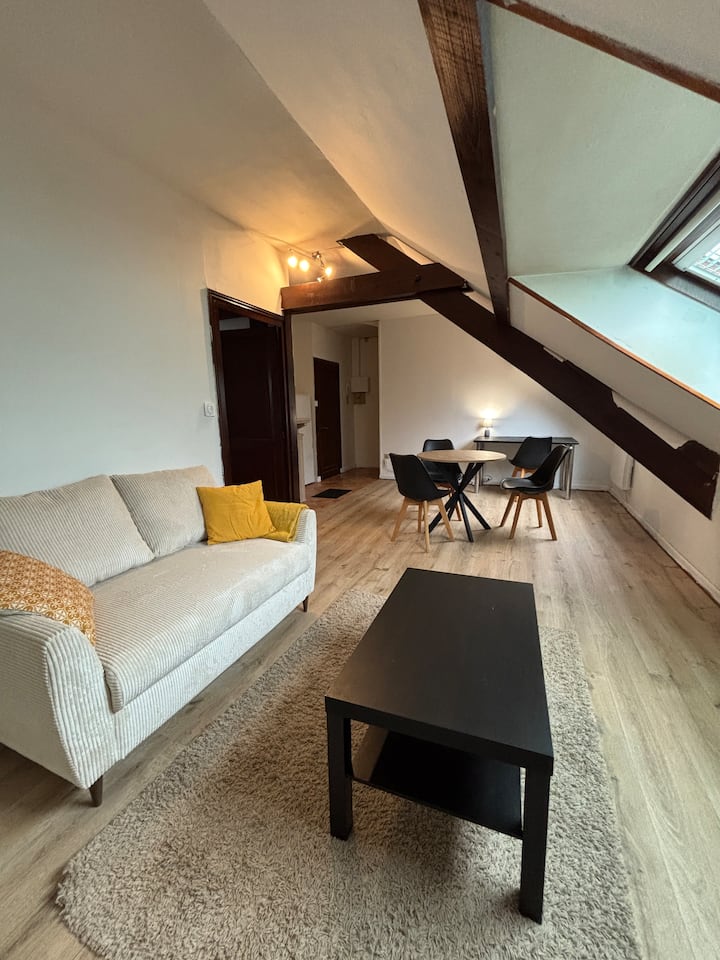 Appartement Chaleureux à Périgueux - Périgueux