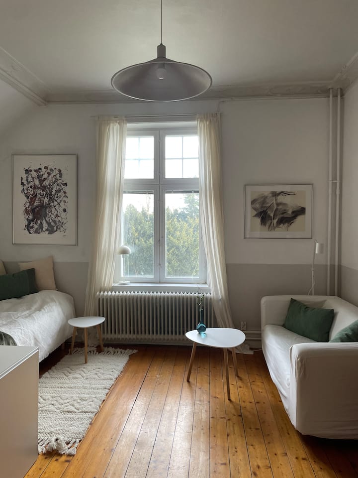 Big Light Room In Centre Of Lund - Lund