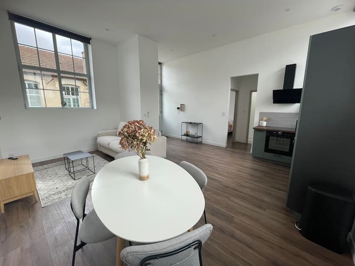 Charmant Appartement Avec Grande Terrasse - Dole