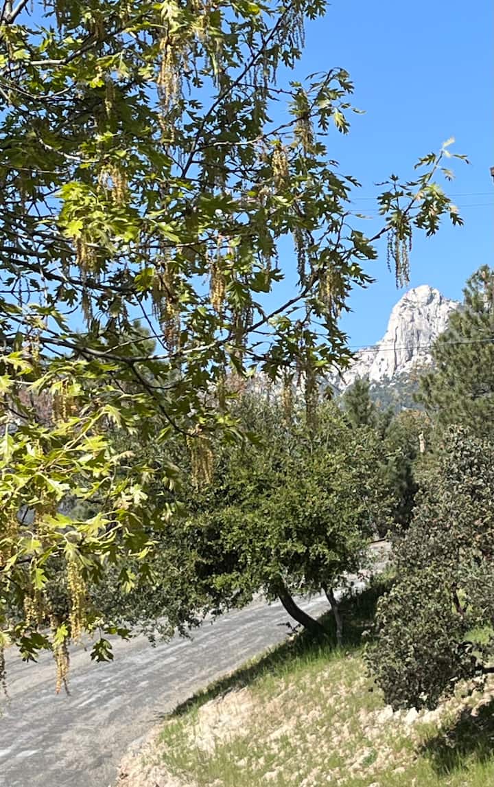 Ridgeview: Idyllwild/spa/epic Mountain Views - Idyllwild-Pine Cove, CA