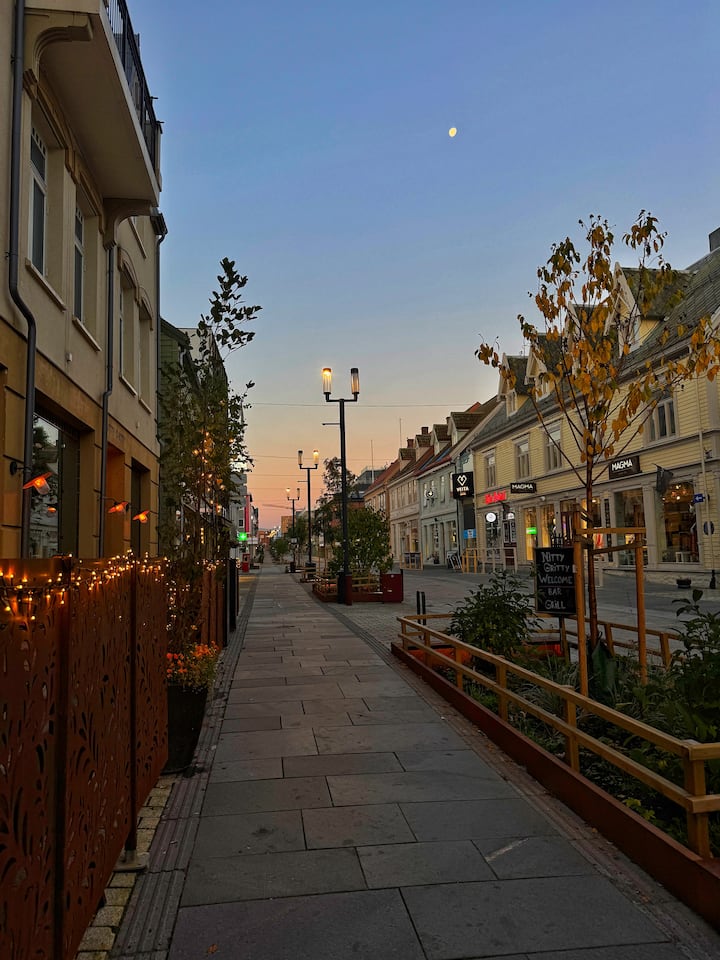 Top 1%: City Center Charm - Tromsø Lumina - Tromsø
