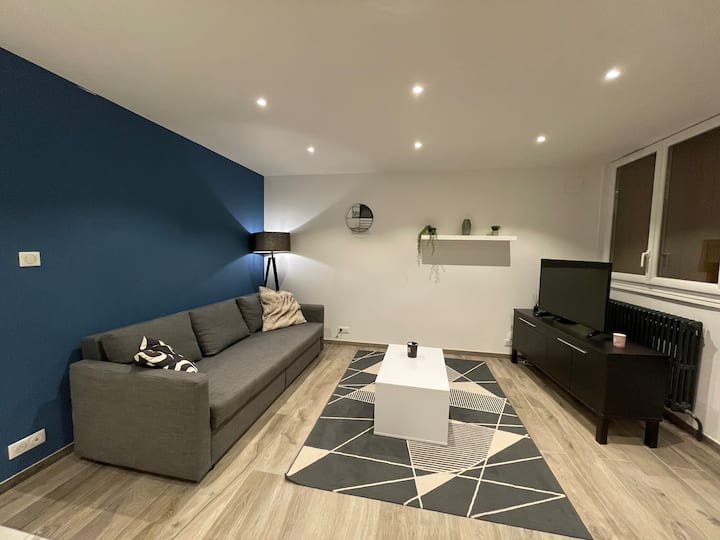 Charmant Appartement Une Chambre - Annemasse