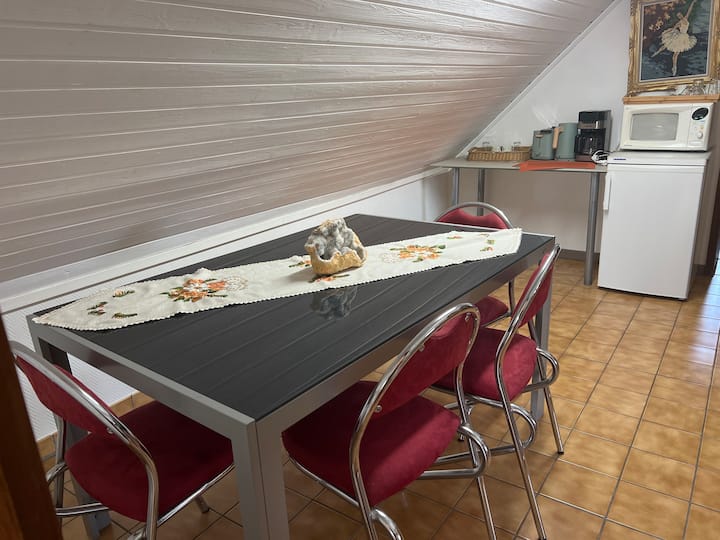 Chambre Privée. 17 M2 - Illkirch-Graffenstaden