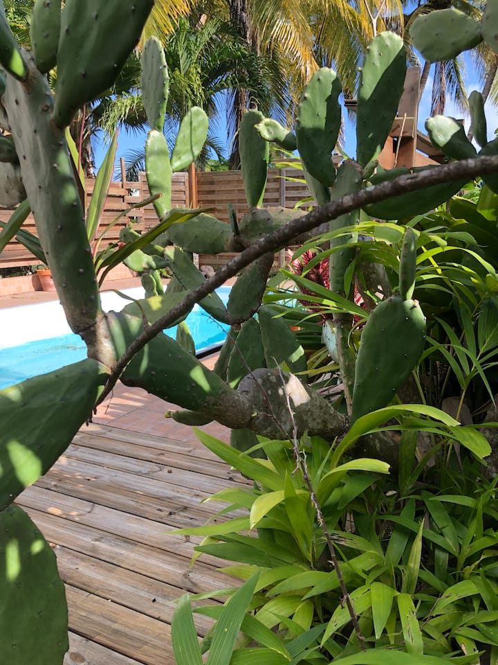 Maison Cosy Familiale - Guadeloupe