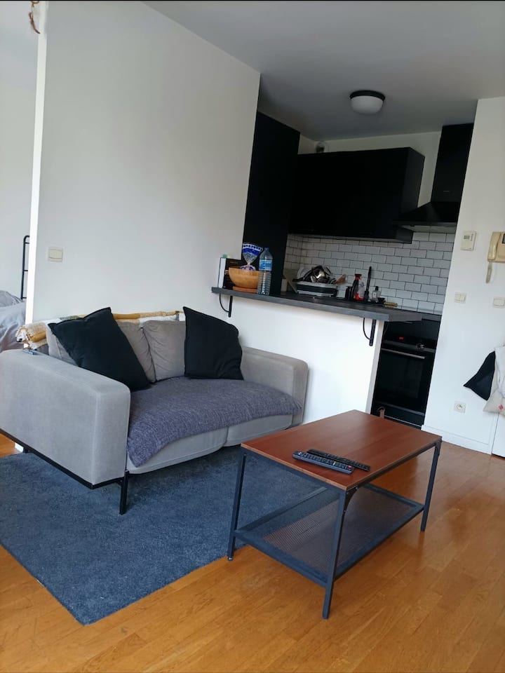 Grand Studio Proche Du Rer - Maisons-Alfort