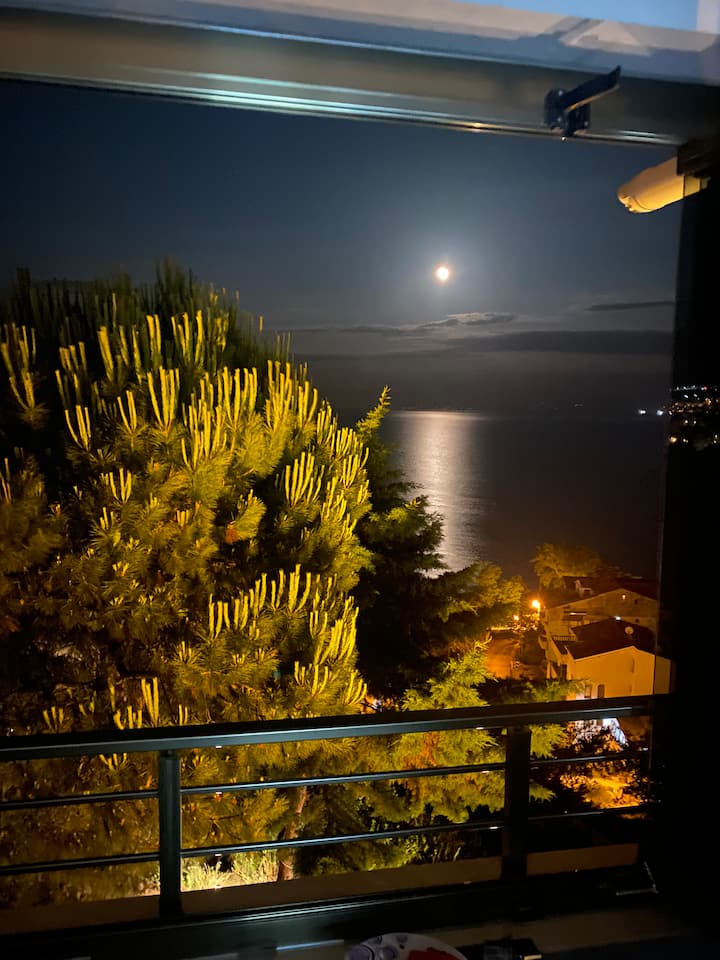 Muhteşem Deniz Manzarası Ve Huzur Dolu Bir Ev - Sinop