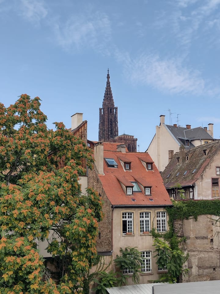 *Studio Strasbourg Centre * - Strasbourg
