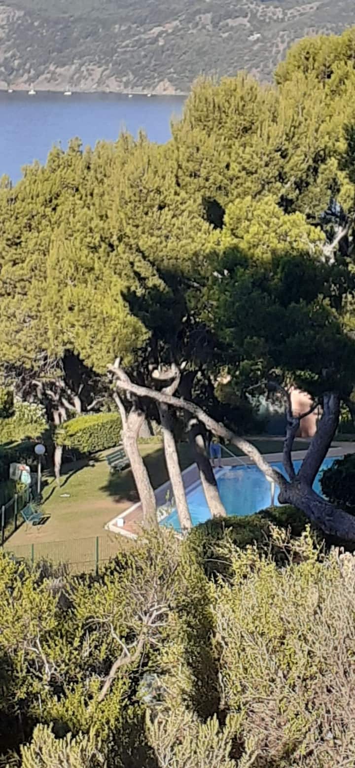 Location Studio 4 Personnes - Saint-Mandrier-sur-Mer