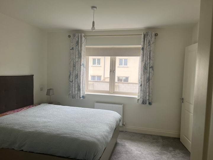 Spacious King Sized Room With Ensuite - Kildare