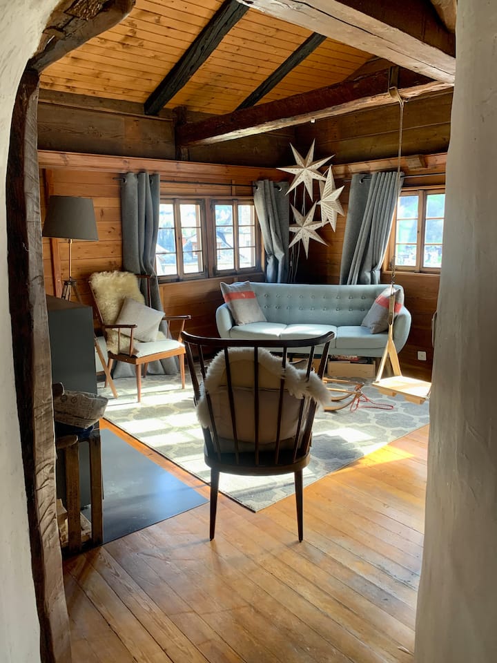 Cosy Mountain Hideaway - Zinal