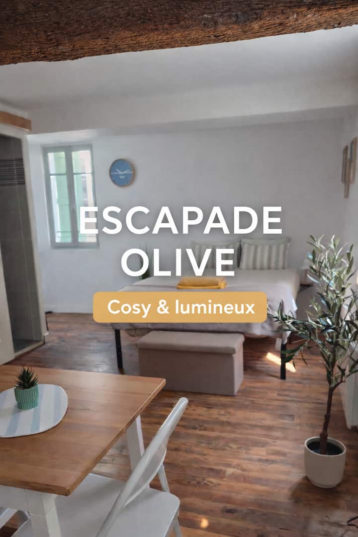 L'escapade Olive - Carcassonne