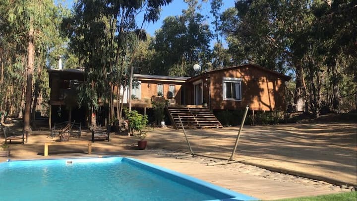 Cabaña En El Bosque, Horcón - Quintero