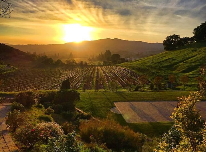 Vezer Family Vineyard  Estate. - Fairfield, CA