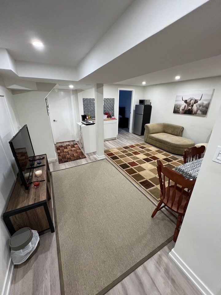 Modern Urban Basement Unit - Vaughan