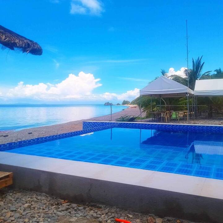 First Down Pay First Serve Only - Lobo