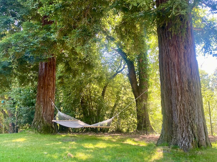 Sonoma Active Retreat Near Plaza Hot-tub Sports - Yountville, CA