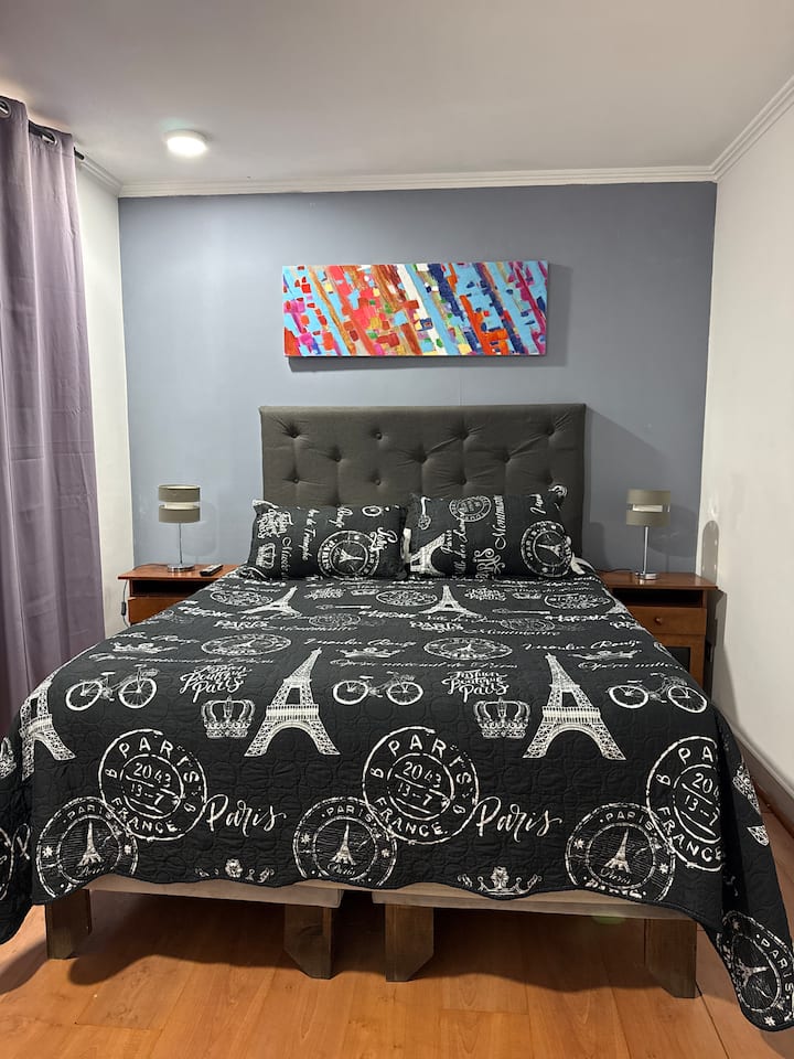 Comodo Depto. En Providencia Para 5 + Parking - Santiago
