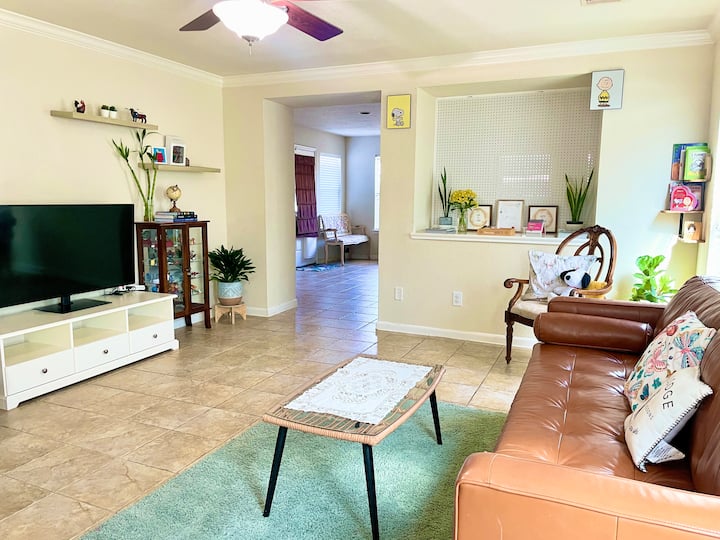 Kiwi House Near Nrg/med Center - Houston