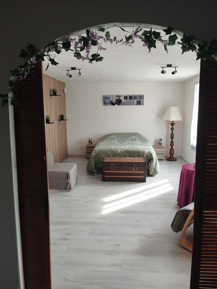 Studio Indépendant Dans Un Pavillon - Les Rousses