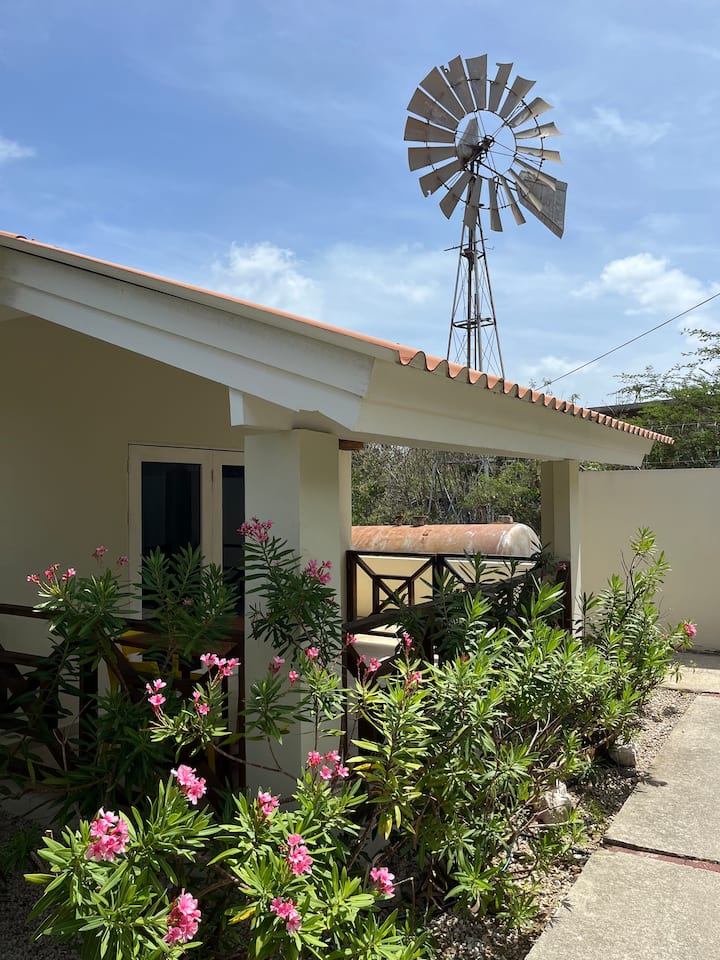 Central Location Near Mambo Beach With A Pool - Curaçao