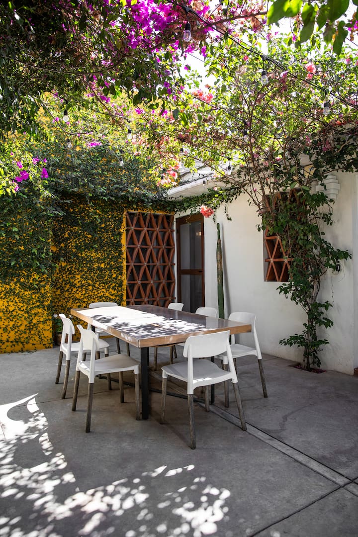 House With Plants 2 Blocks Away From Zocalo - Oaxaca