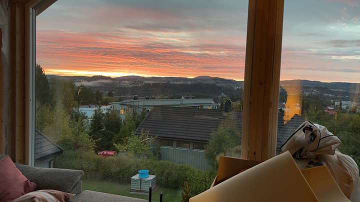 Ny-oppusset Familie Hus - Trondheim