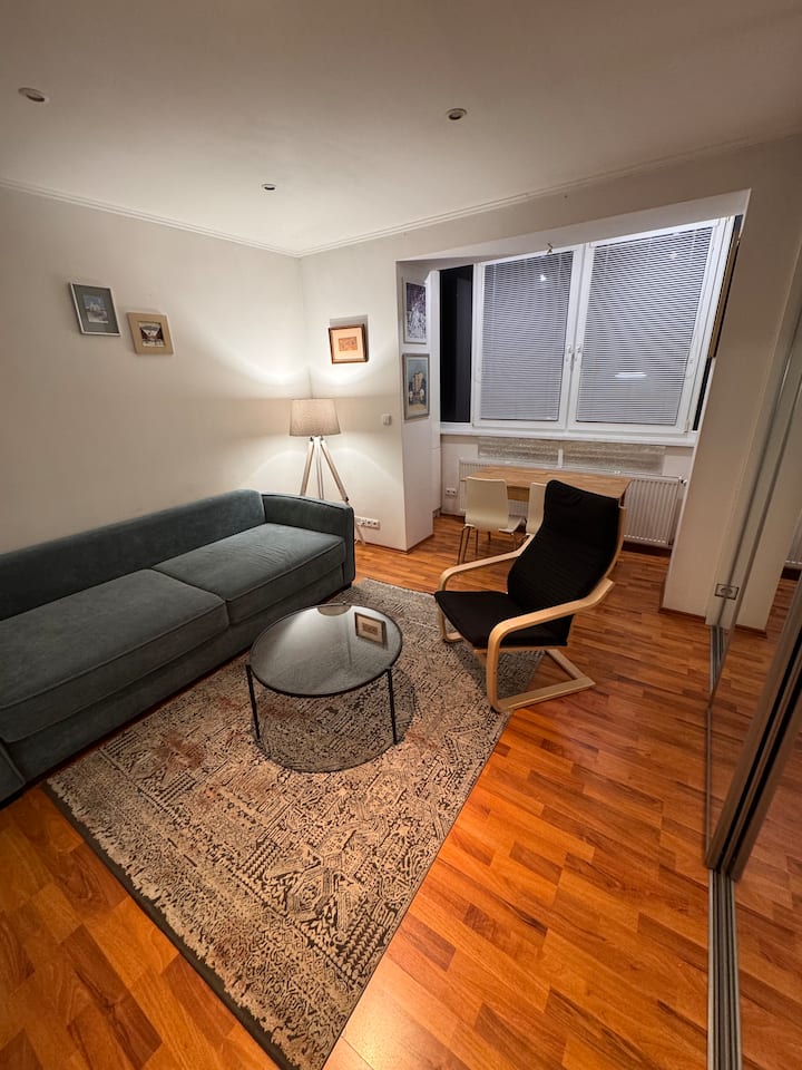 ÚTulný Byt Blízko Centra S Parkovaním - 布拉提斯拉瓦