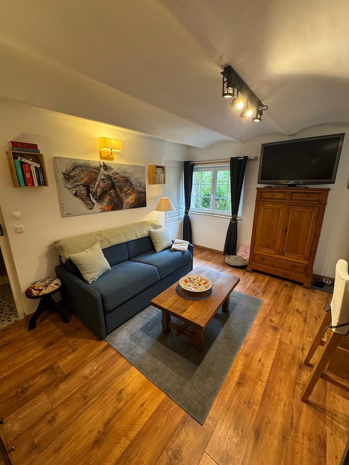 Gîte Independant Dans Maison Pleine De Charme - Saint-Amand-les-Eaux