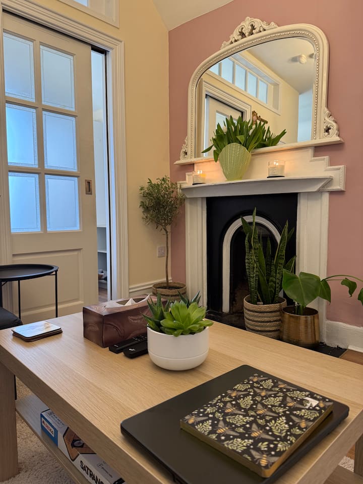 Charming Room In City Centre - Dublin