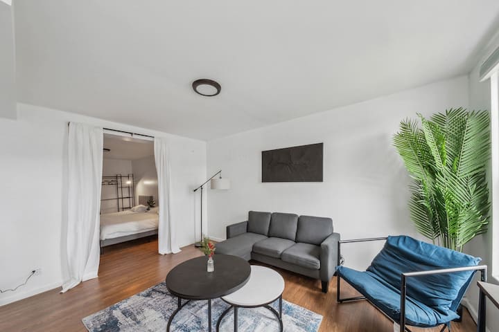 Minimalist Condo In Downtown - Buffalo, NY