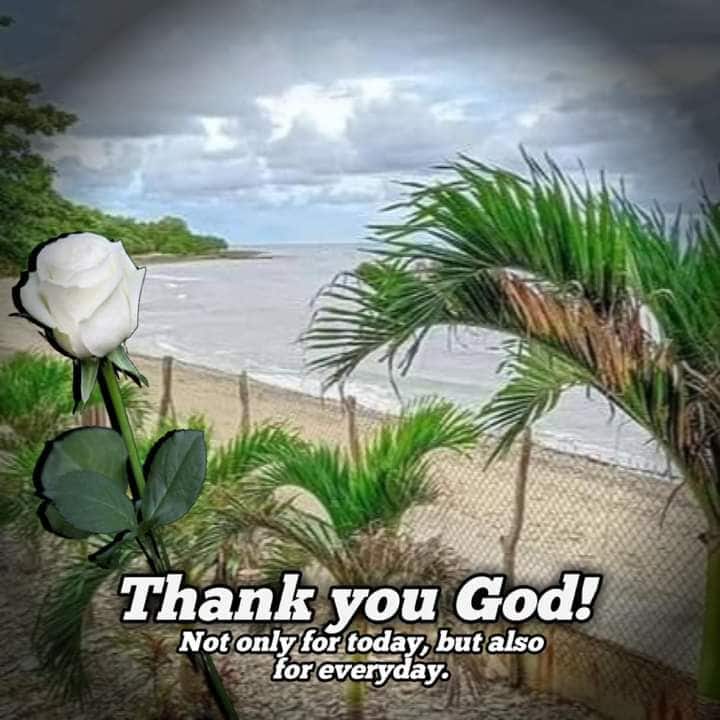 Affordable And Relaxing Place! - Puerto Princesa