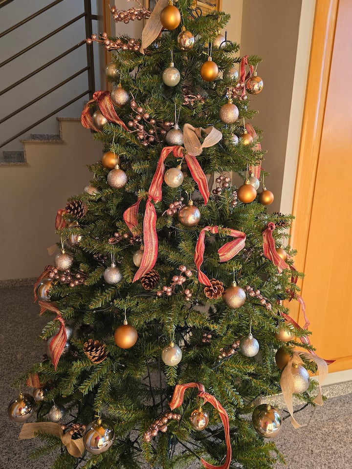 Pis Agradable Prop De Barcelona St31 - Igualada