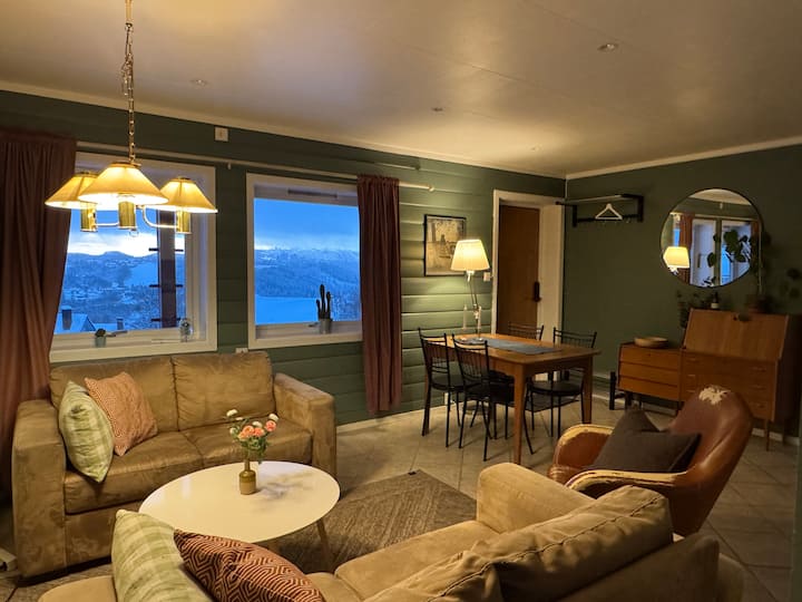 Stor Leilighet, Badstue Og Utsikt - Trondheim