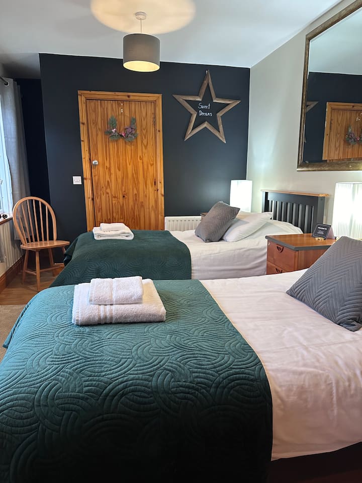 Quiet Twin En-suite In A Peaceful Guesthouse - Malahide