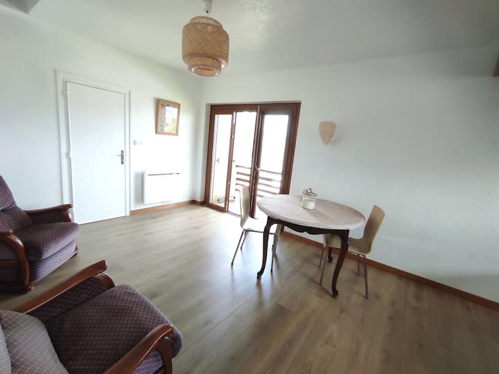 Appartement F1 En Maison Calme - Bonneville