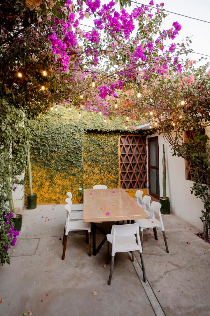 Group Stay 2 Blocks From Zócalo - Oaxaca