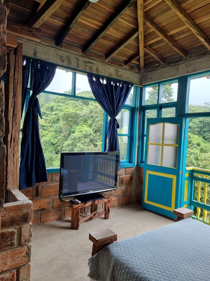 Finca Villa Sol Tamesisantioquia - Jardín